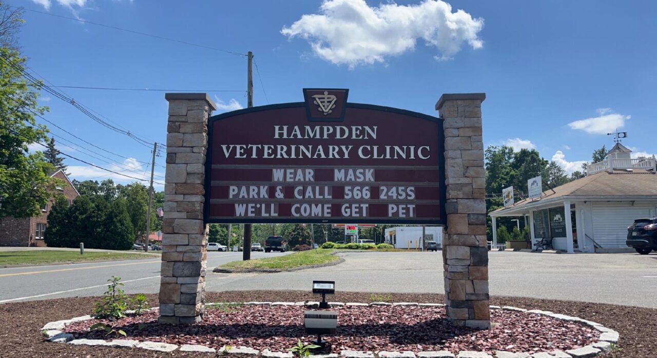 Best Vet Hospital In Hampden, MA | Hampden Veterinary Clinic
