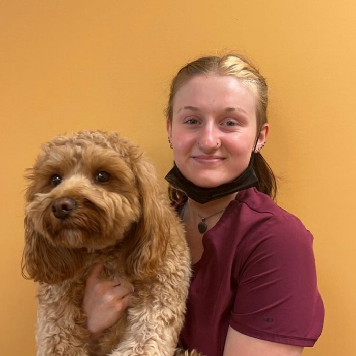 Hampden, MA 01036 Veterinarians | Hampden Veterinary Clinic